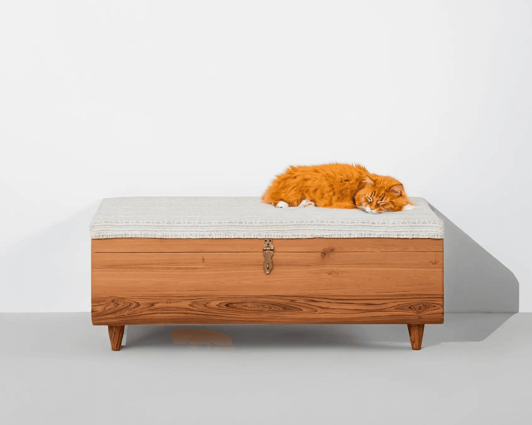 Buy Bench Online in India - IKIRU | Save upto 40% OFF