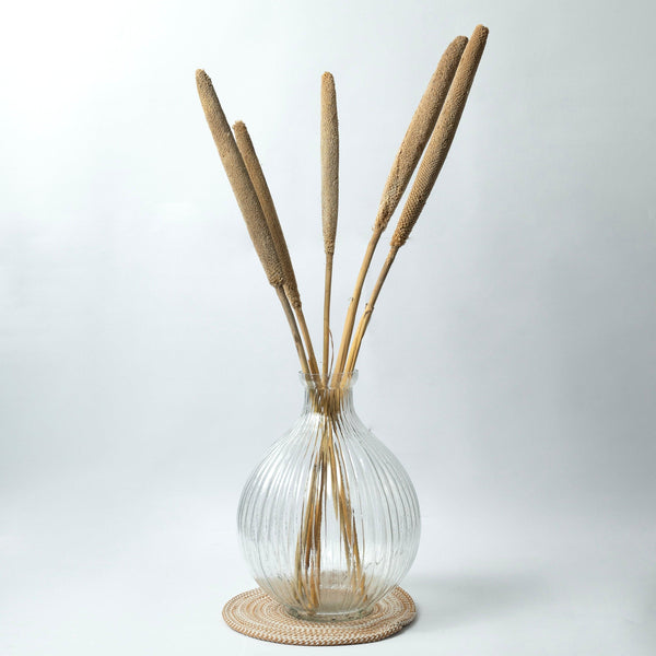 Exotic Bajra - Natural | Vase Fillers – IKIRU